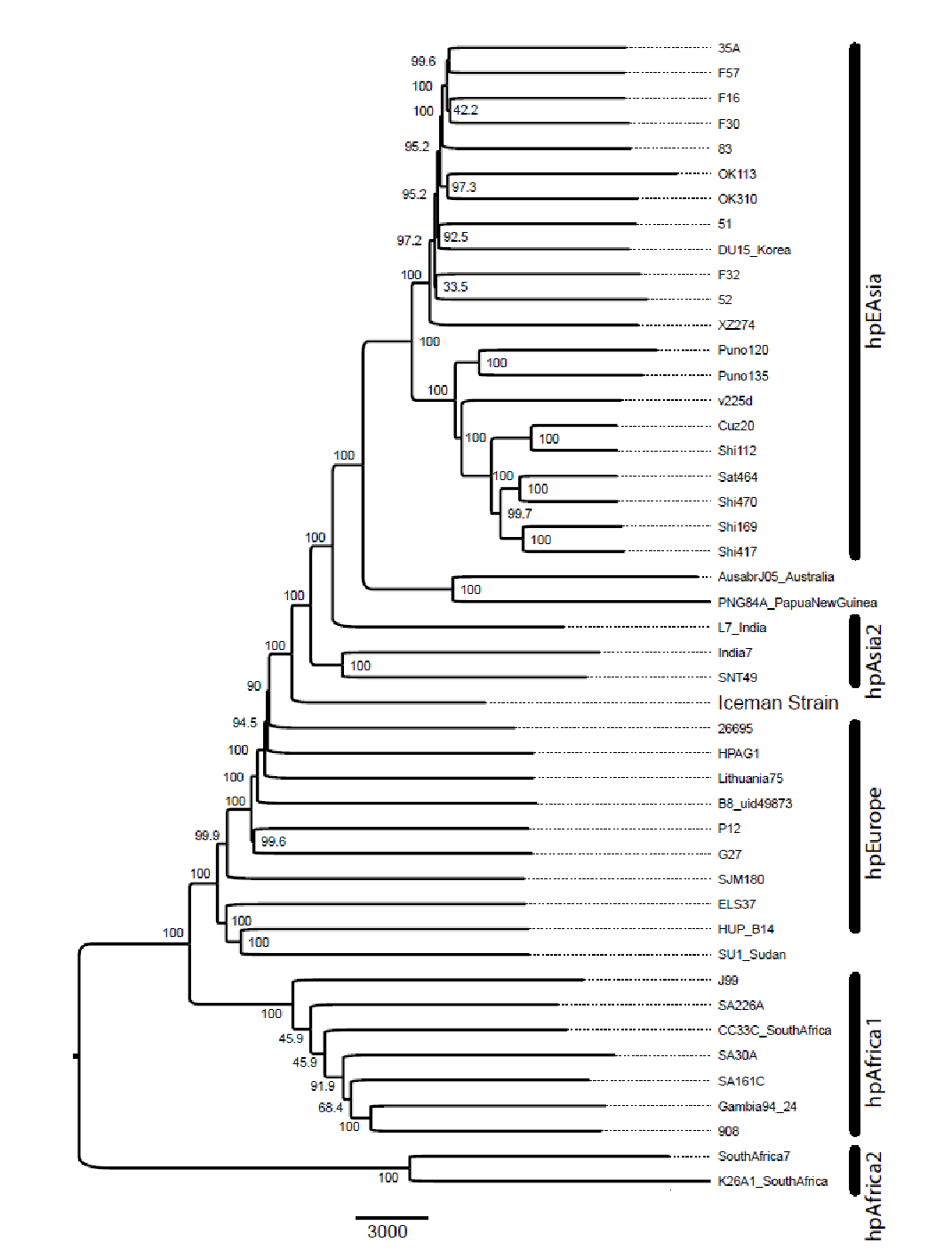 fineSTRUCTURE activity - Evolution and Genomics