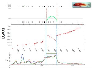 Sequencing is RAD... - Evolution and Genomics